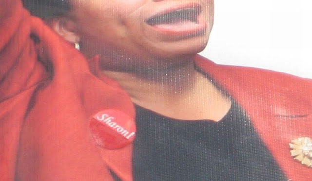 PLAINFIELD TODAY: Campaign: Soliciting for Sharon; Sign wars; Reid gone ...