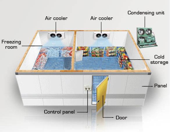 Atmosfera controlada no armazenamento de frutas