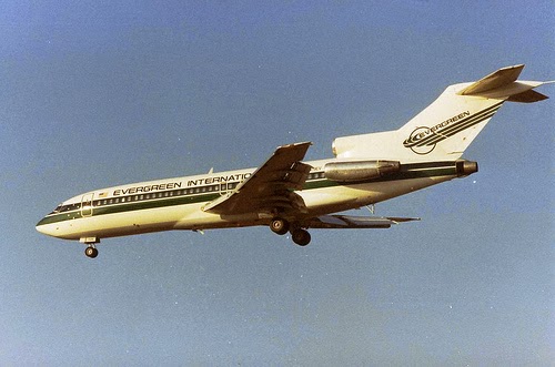 Flight To Success: Freight Dogs Unite.