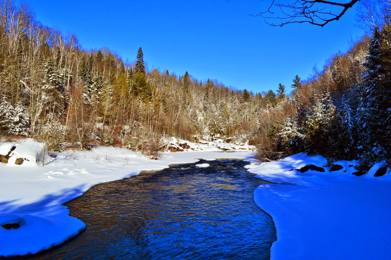 Parc de la rivière Doncaster
