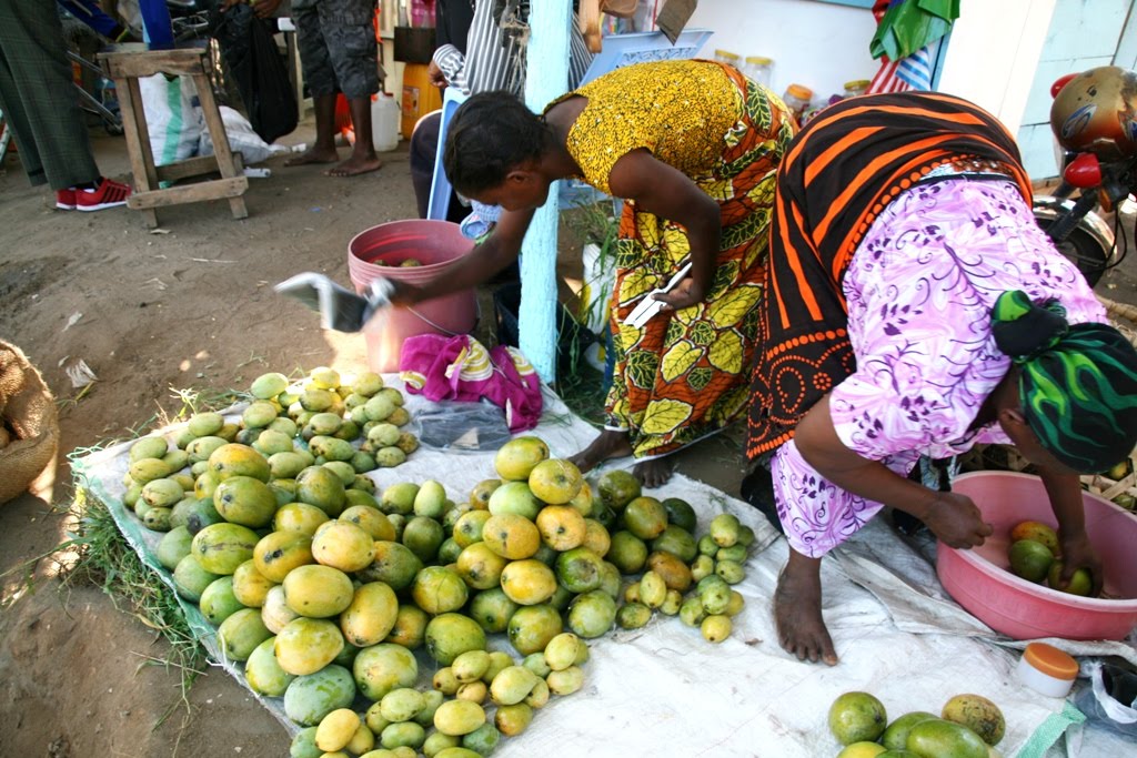UKADIRIFU: Neno La Leo: Kitendawili Cha Embe Dodo Na Tunakokwenda..