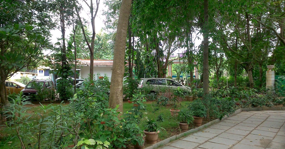 Somasundaram's Blog: Vipassana@Dhamma Setu, Chennai - My experience