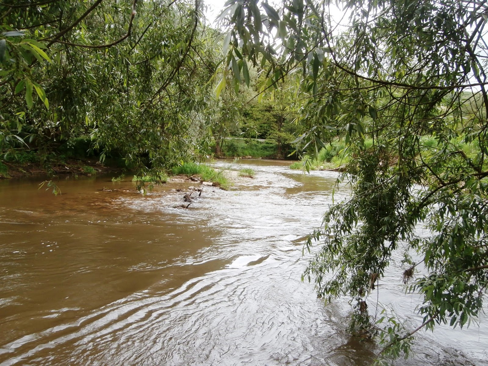 S udicou po Slovensku: Potok Rimava 27.5.2013
