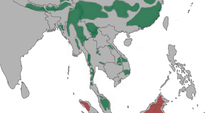 Abe's Animals: Range map for each clouded leopard species