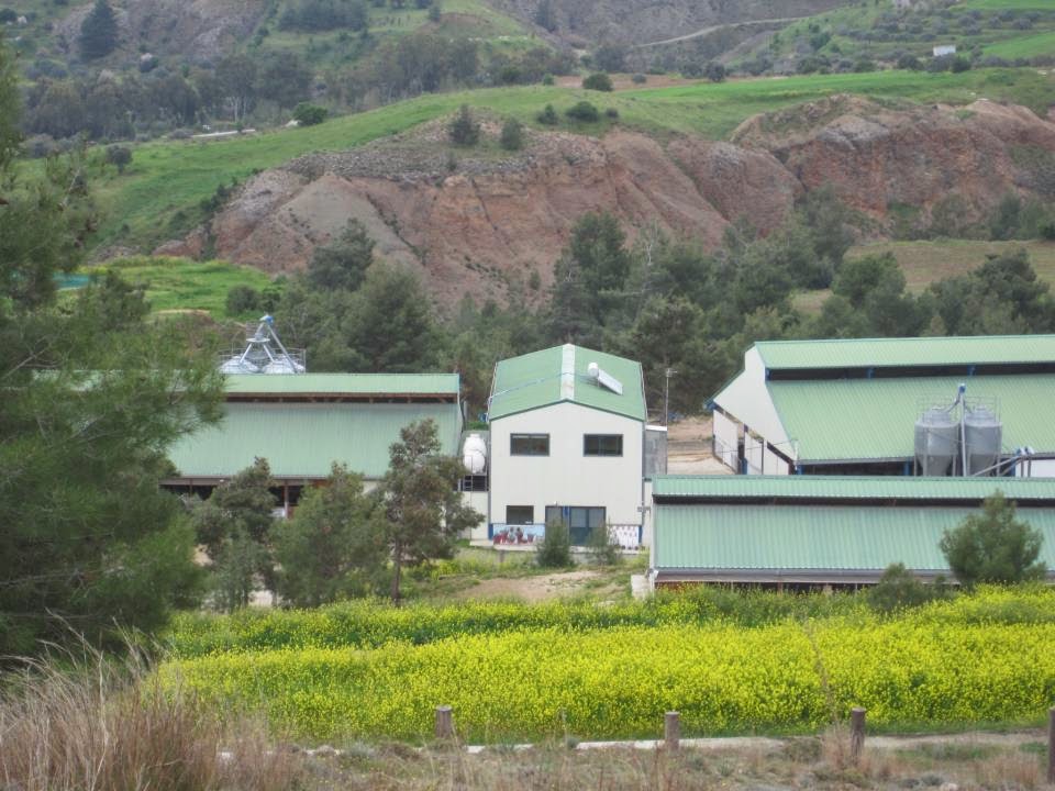 Produced in Cyprus: Riverland Diary Bio Farm – your first choice for ...