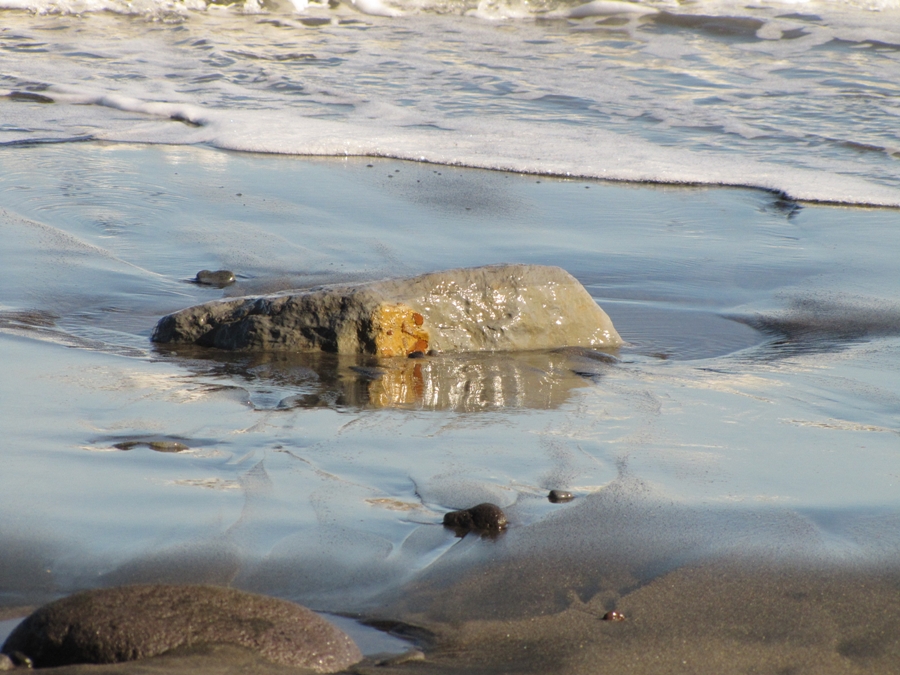 photographing New Zealand: scenes from Hawera