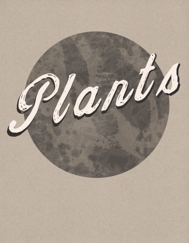 Warrior Spirit, Artist Heart: Dynamic Sketching with Peter Han