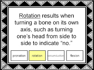 Student Survive 2 Thrive: Free Medical Terminology Practice Test: Joint ...