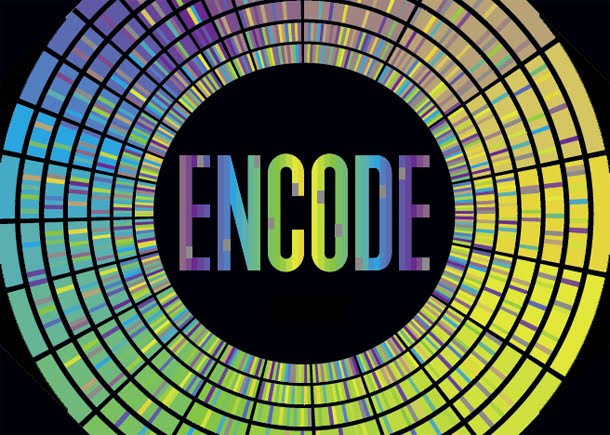 The Cabbages of Doom: ENCODE: highlighting the best and worst of ...