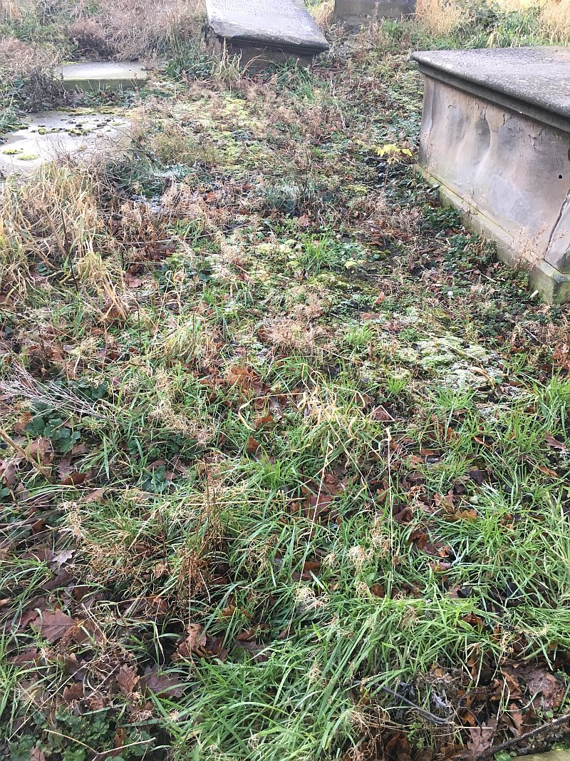 Where are we all Now: Investigating Joseph Woodhead of Rothwell & his ...