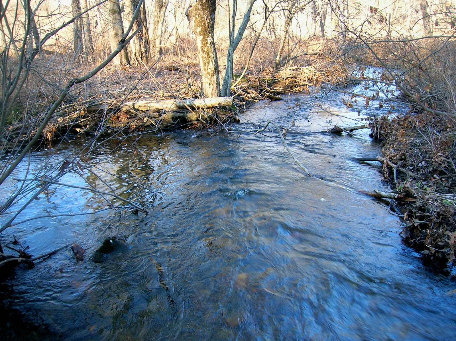 Small Stream Reflections: December 2011