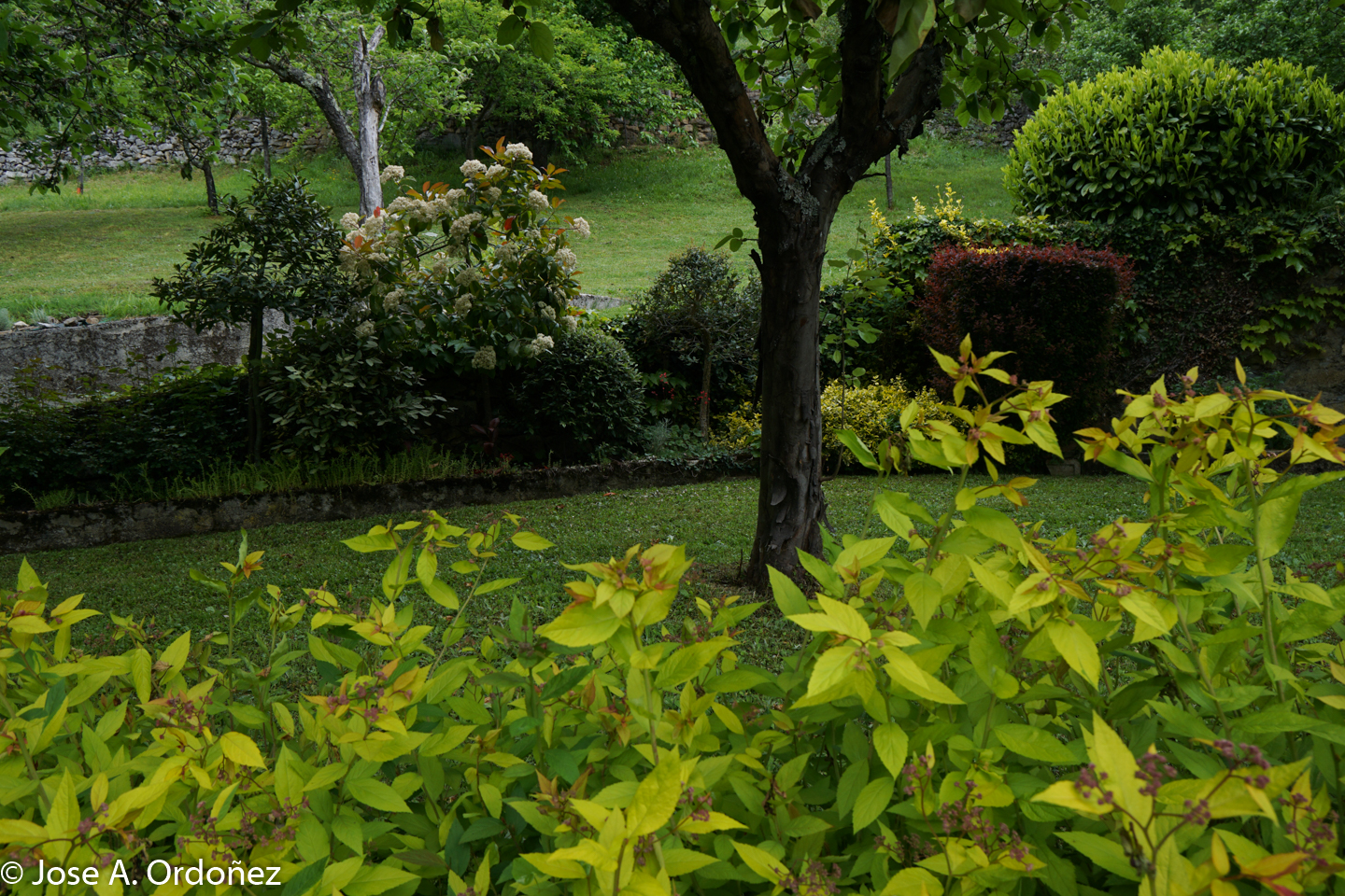 El Jardín de la Barrosa: La Barrosa en Mayo