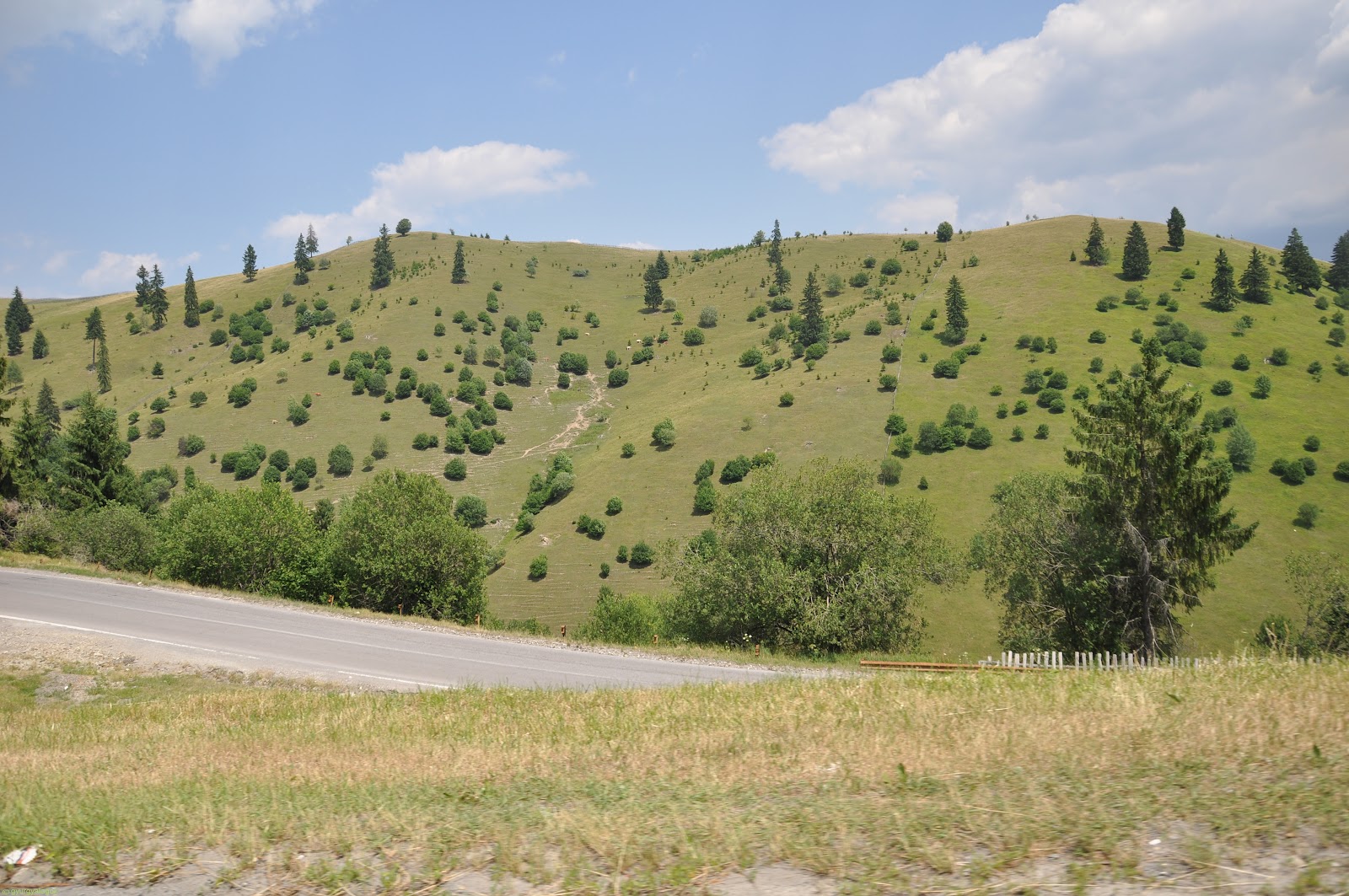 Ilyen a természetünk: Legurolós-domboldalas Gyimes