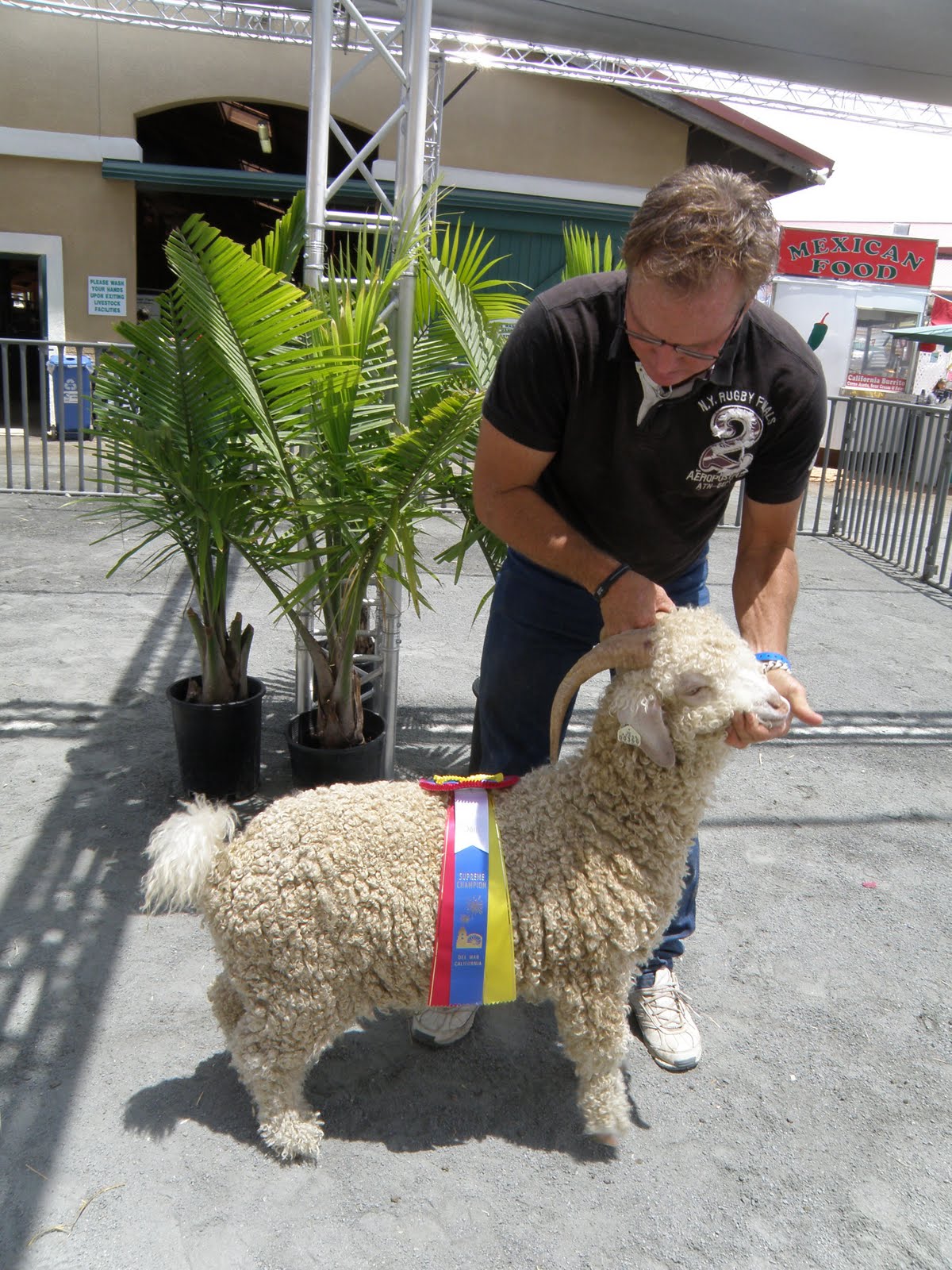 Unique Designs By Kathy: Del Mar Angora Goat Show and San Diego Beaches