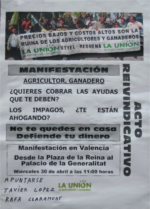 Caudete De Las Fuentes EL QUE NO LLORA NO MAMA caudete-de-las-fuentes-el-que-no-llora-no-mama