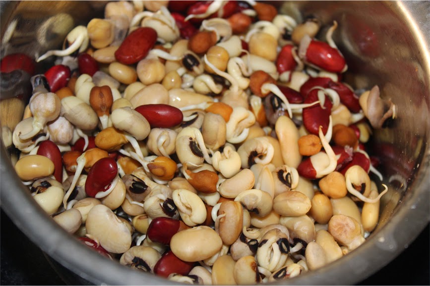 Saanvis food: Mixed Sprouts Dosa