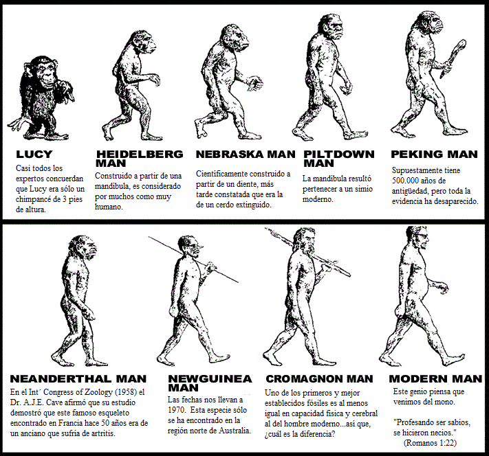Evolucion Del Hombre