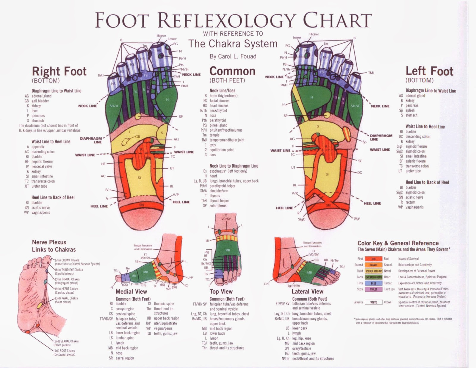 Reflexology - The feet are a mirror of health | Health & nutrition