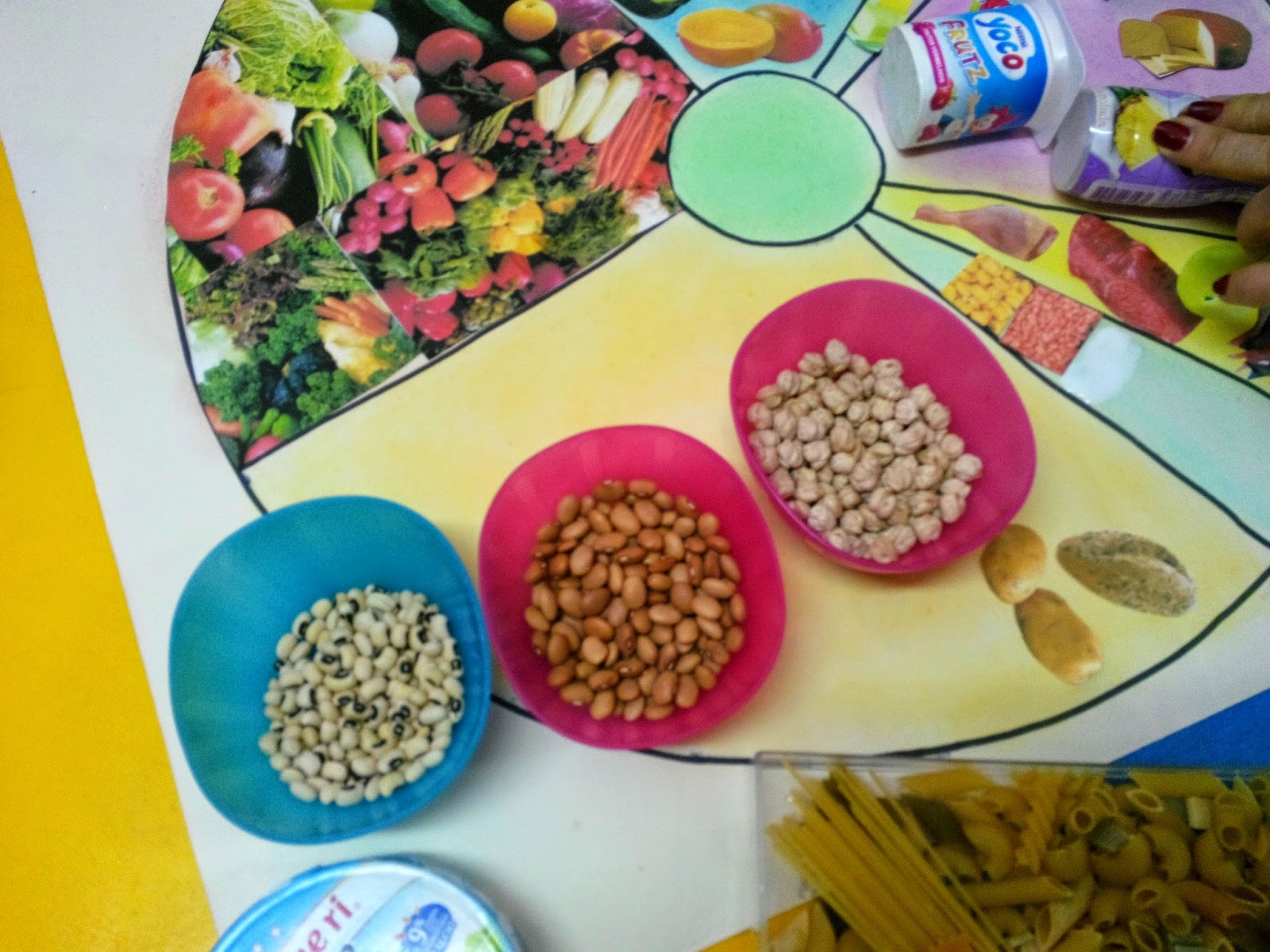 Blogue do Jardim Escola Carrocel: Roda dos Alimentos