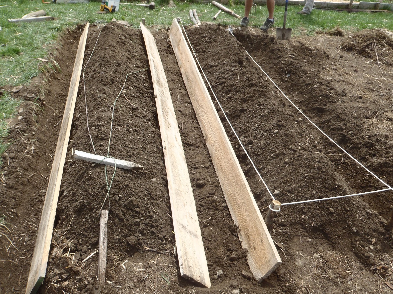 Have You Ever Picked A Carrot?: Home Garden Plot Part I: Use what you got