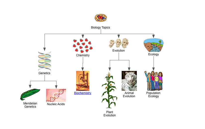 Ms. Clark's Biology Blog