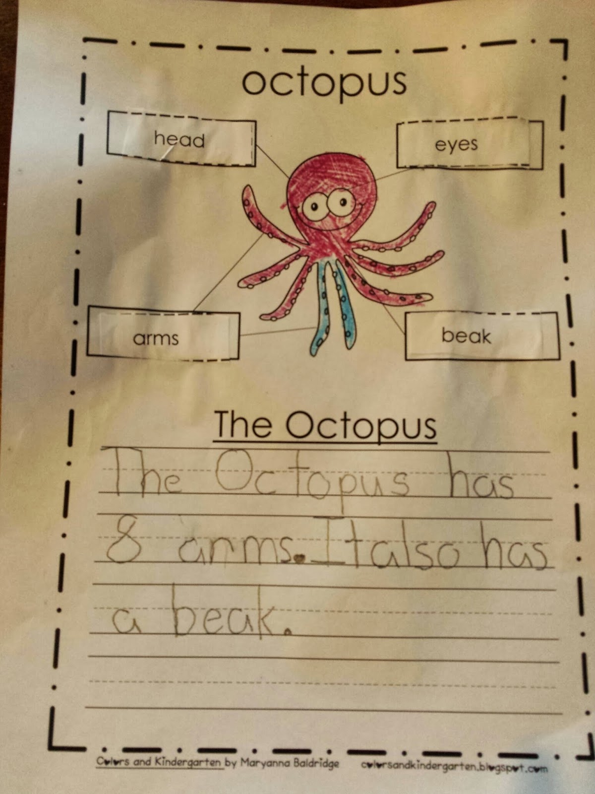 Colors and Kindergarten: The Octopus