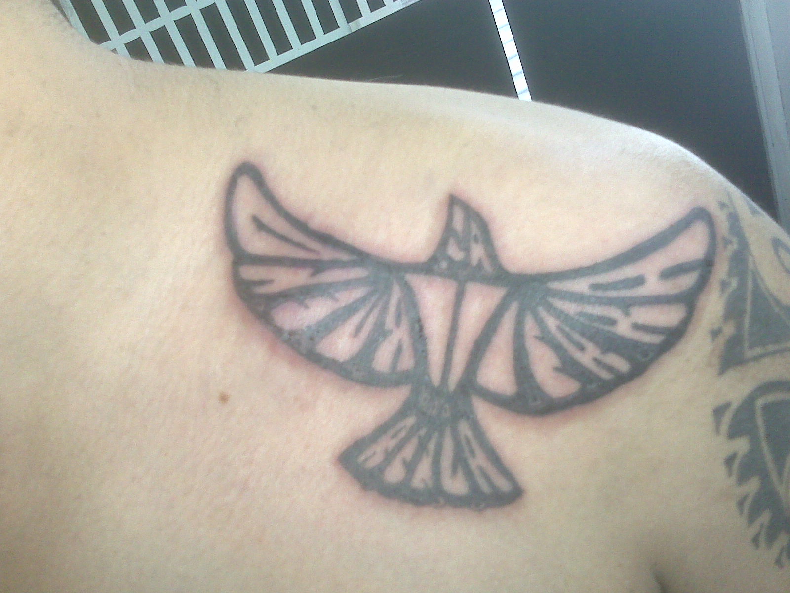 Zurich tattoo & piercing: Tattoo Nico Reyes