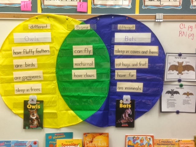 Enchanting Classroom: More and More Bats!