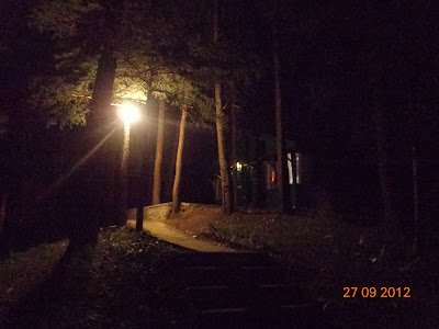 Chail Log Huts: Chail Log Huts