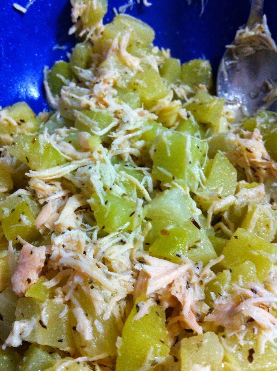 DISFRUTA COCINAR: CHAYOTE CON POLLO