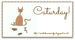 Abigail Davidson Art: Caturday: Printed Cards