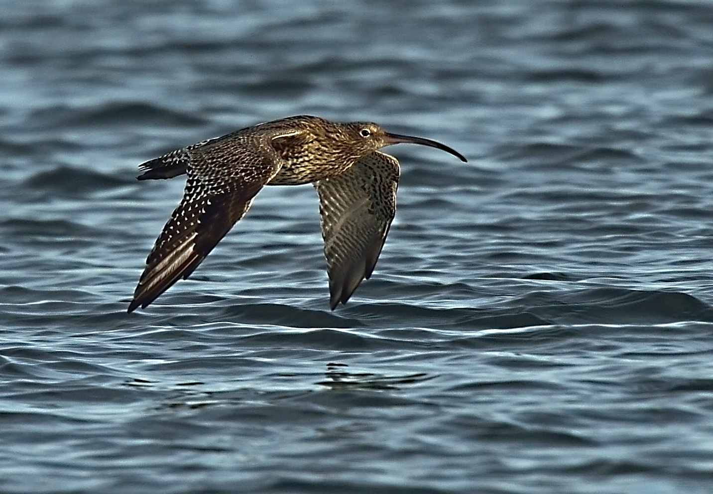Alan James Photography : Devoran Quay