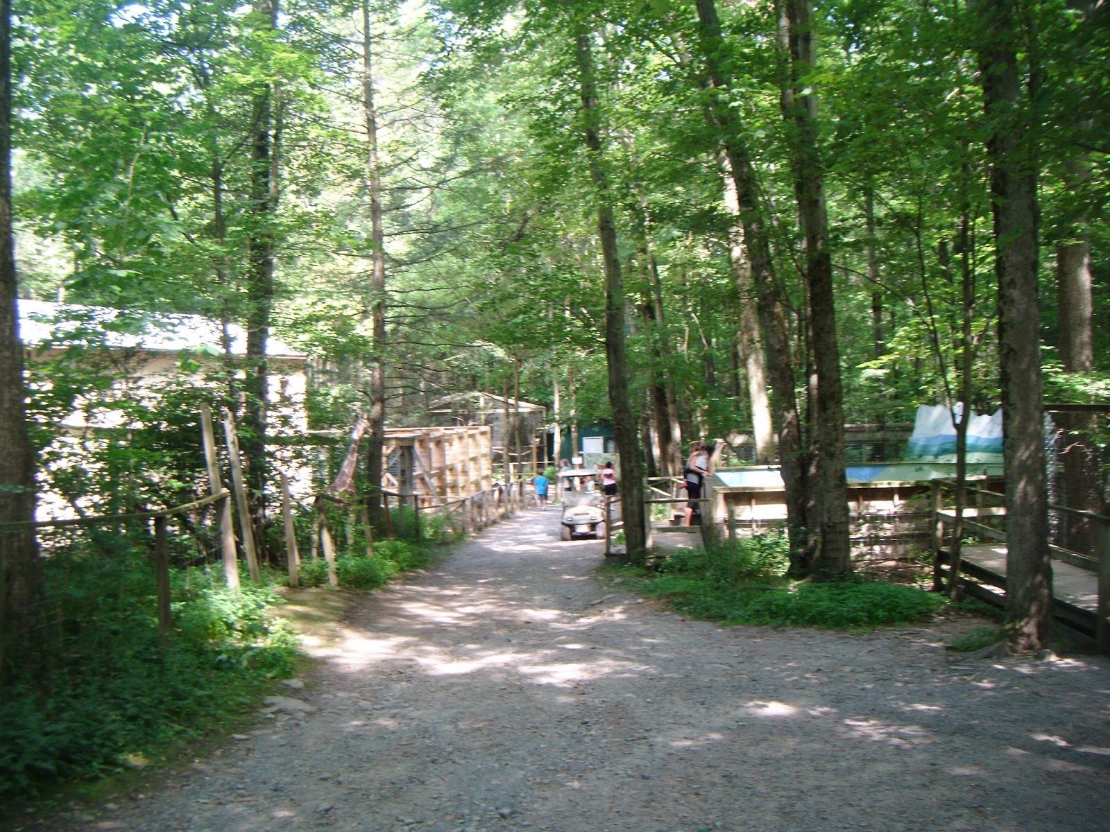 Claws ‘N Paws: A Zoo Hidden in the Forrest