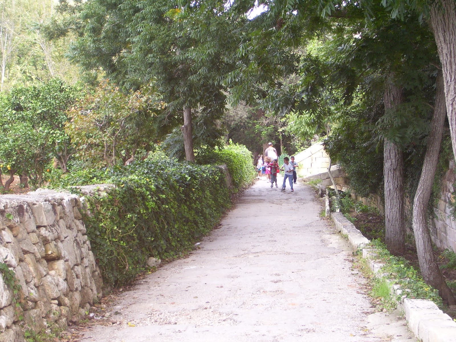 Just Malta...sun,sea & plenty of sightseeing!!!: Buskett Gardens