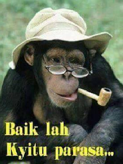 kumpulan meme gambar monyet lucu unik | ANEH DI DUNIA