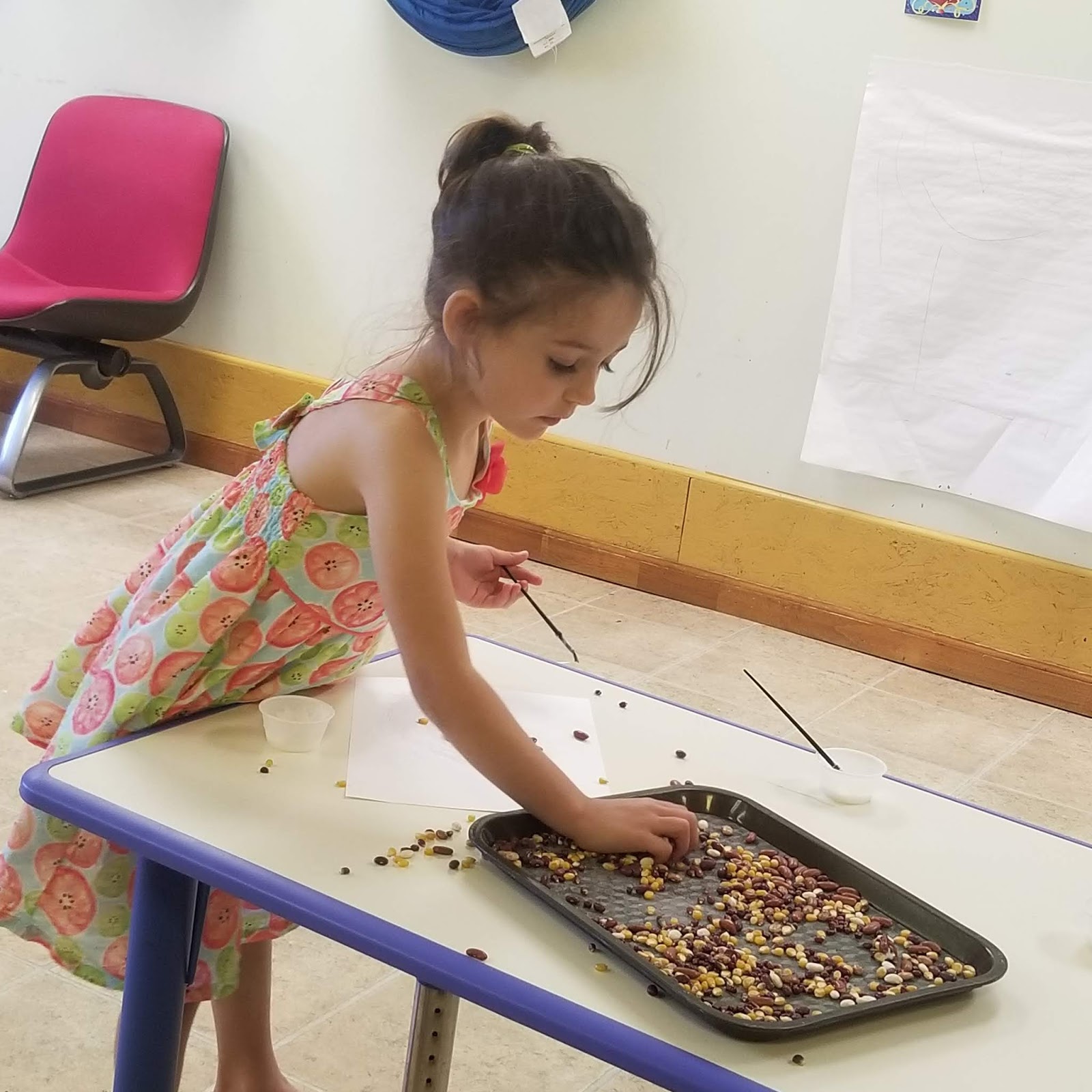 PLA Academy 2018-2019