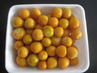 Beneficios de la Uchuva: Bienvenida