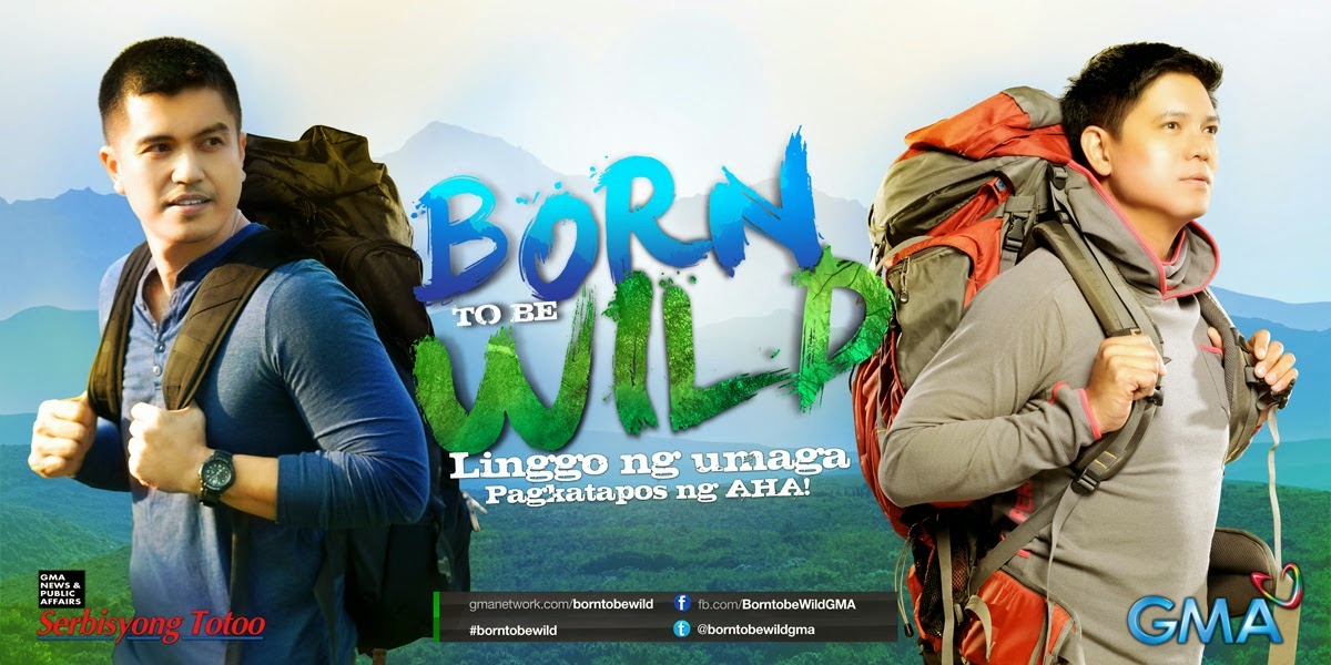 Born To Be Wild - May 31, 2015 Sunday — 5.31.2015 , Born To Be Wild ...