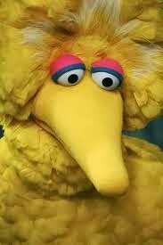 Sesame Blog: Why IS Big Bird so big?