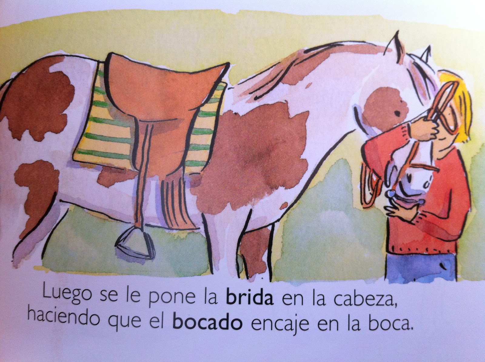 MIL CABALLOS: El primer libro de caballos que tuve