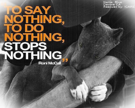 THE PHENOMENOLOGY OF THE NON-HUMAN ANIMAL: My Infographic - The Pet Owner