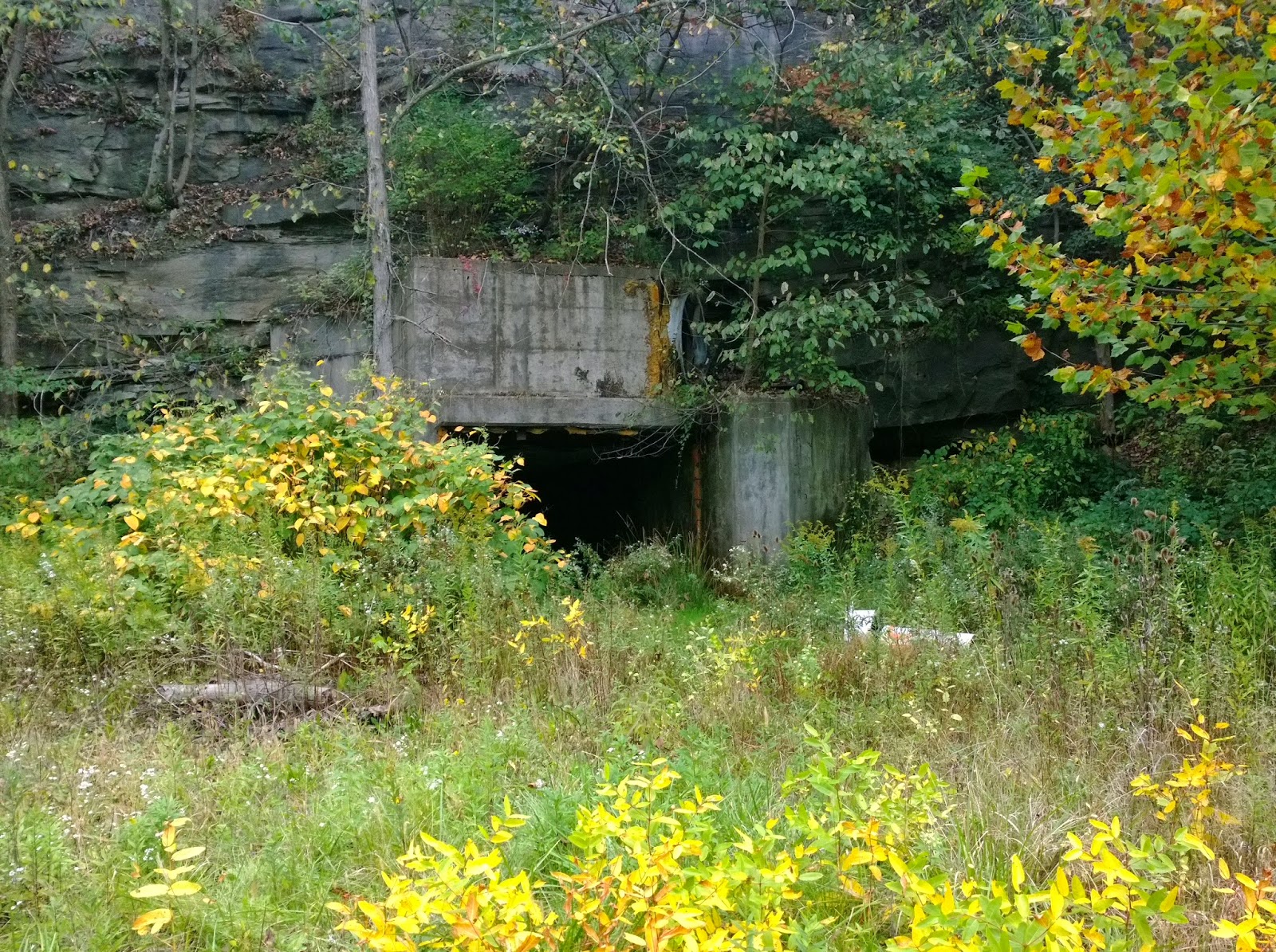 Old Pics Of Champion Ohio