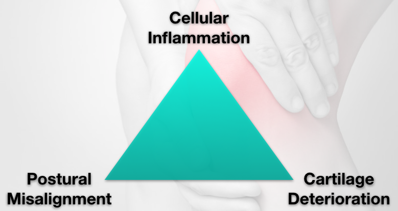 The 3 Harmful Causes of Chronic Joint Pain: "Joint Pain Triad ...