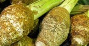 Manfaat Dari Talas ? ~ Ayo Hidup Sehat