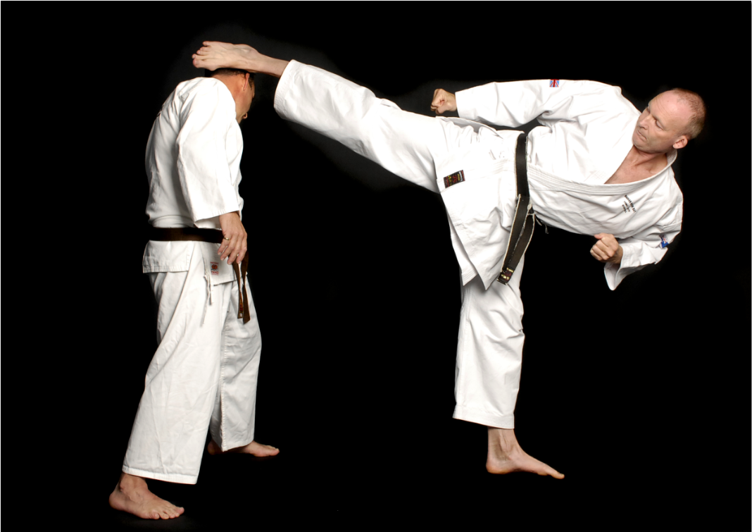 Fight | Tips & Trick |: Back Roundhouse Kick