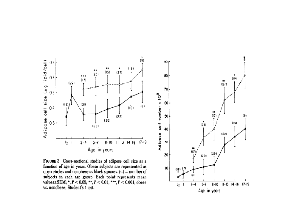 The Blog of Dr. Sean Preuss: The Story of Fat Cells