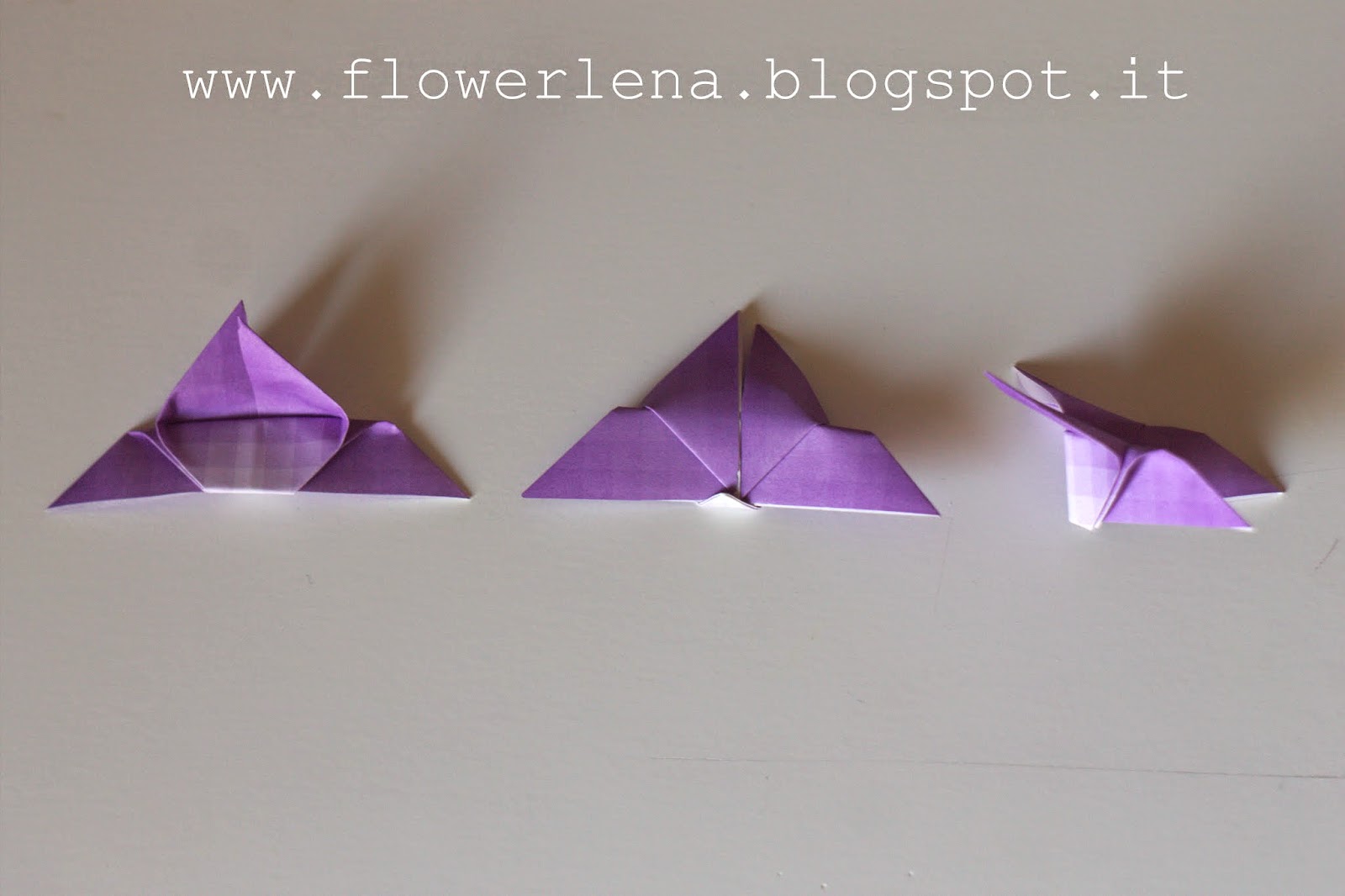 Tutorial farfalle origami in 6 passi