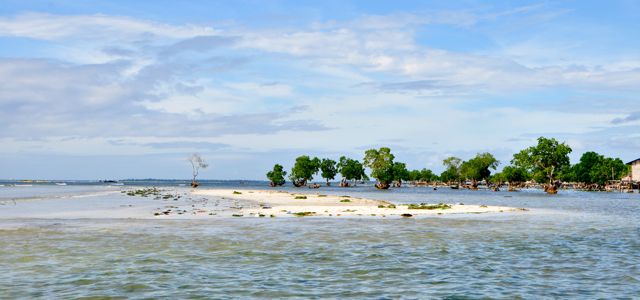 In Pinay's "Ciudad": LAYAG-LAYAG YELLOW BOAT VILLAGE: MANGROVES @ ZC ...
