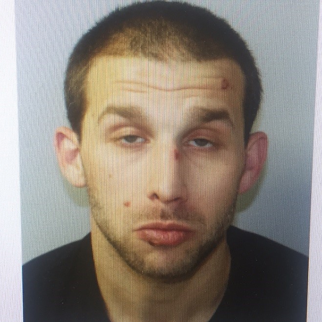 Bergenfield Police Department: 2017