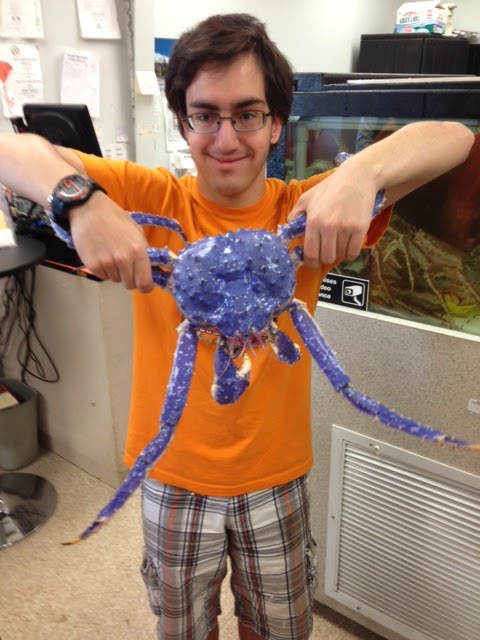 Nome, Alaska: Rare Blue King Crab